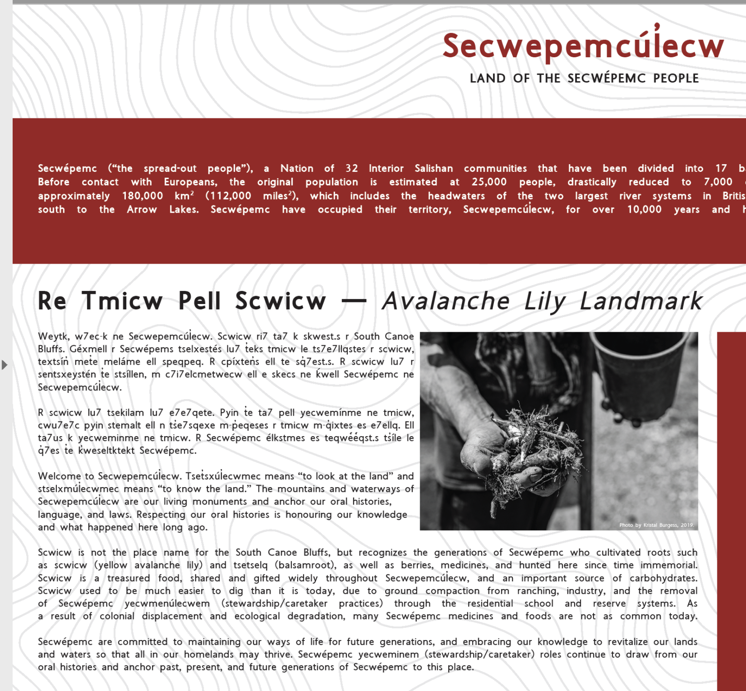 Language Initiatives Timeline – Chief Atahm